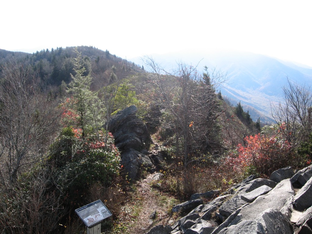 Mt. Cammerer an ideal day hike in the Great Smoky Mountains