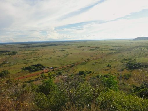 The Rupunini Guyana Savannah in the dry season