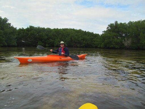 Kayaking Weedon Island Preserve in St. Pete, Florida
