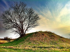 Midewin National Tallgrass Prairie sunset