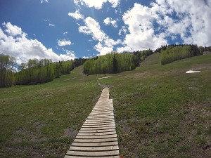 Berry Picker Trail Vail adventure up to the mountain peak