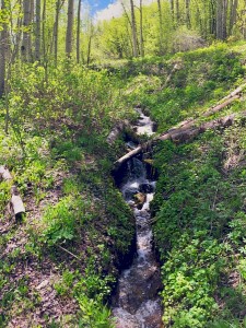 Berry Picker Trail Vail adventure up to the mountain peak