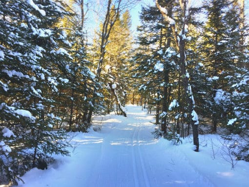 Minocqua Winter Park Nordic Center adventure in Wisconsin