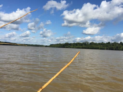 Amazon River piranha fishing on the Yavari River between Peru and Brazil
