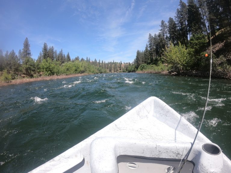 Spokane River fly fishing adventure with Silver Bow Fly Shop