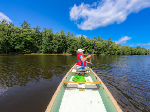 Flambeau River canoeing the North Fork below Turtle Dam