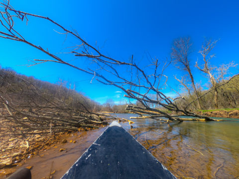 Eleven Point River float trips in the Missouri Ozarks is a ten