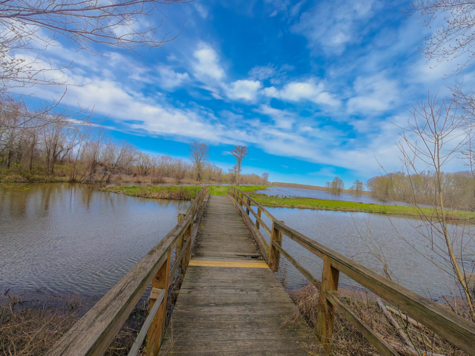 Mingo National Wildlife Refuge in Missouri with time to kill
