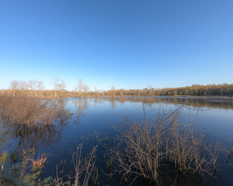 Mingo National Wildlife Refuge in Missouri with time to kill
