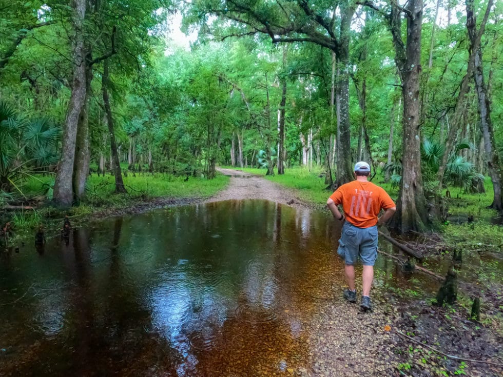 Hal Scott Regional Preserve and Park near Orlando, Florida