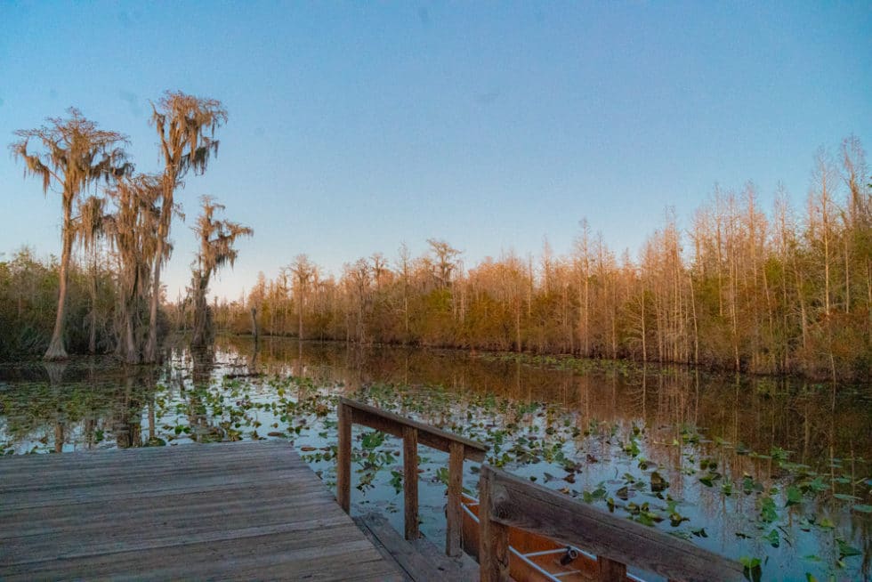 Okefenokee Swamp Georgia adventure canoeing and camping