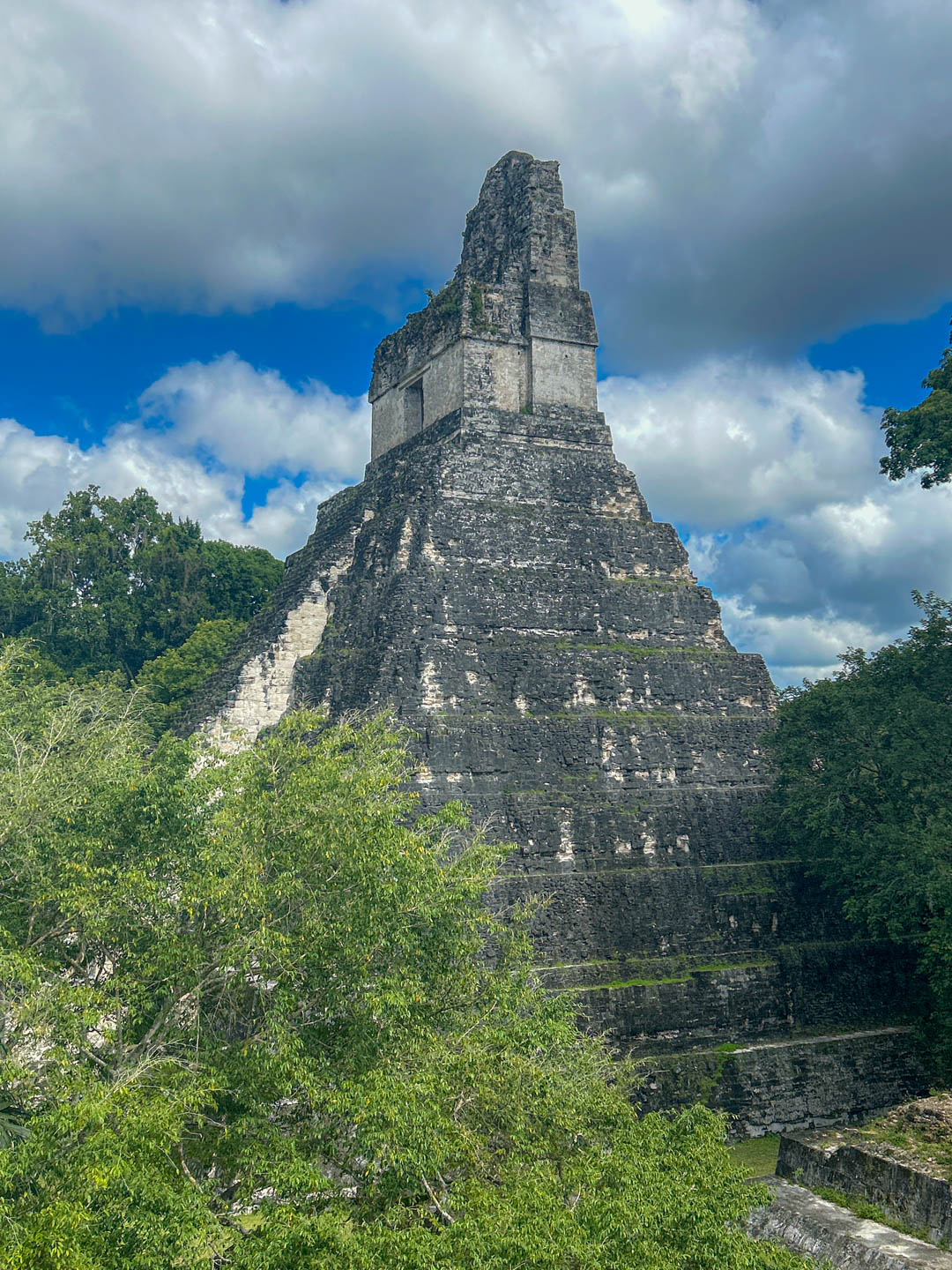 Tikal National Park Guatemala touring and birding